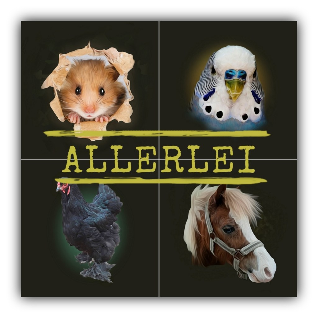 digiDayart – Digital portrait of your pet in painted style and more